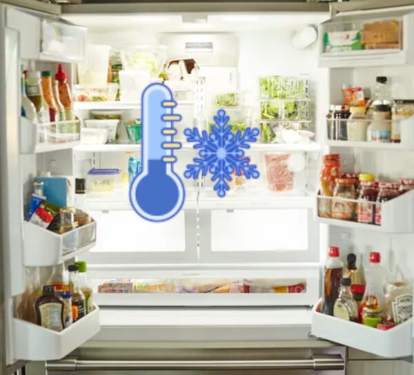 Refrigerator Freezing Food In The Fridge Section